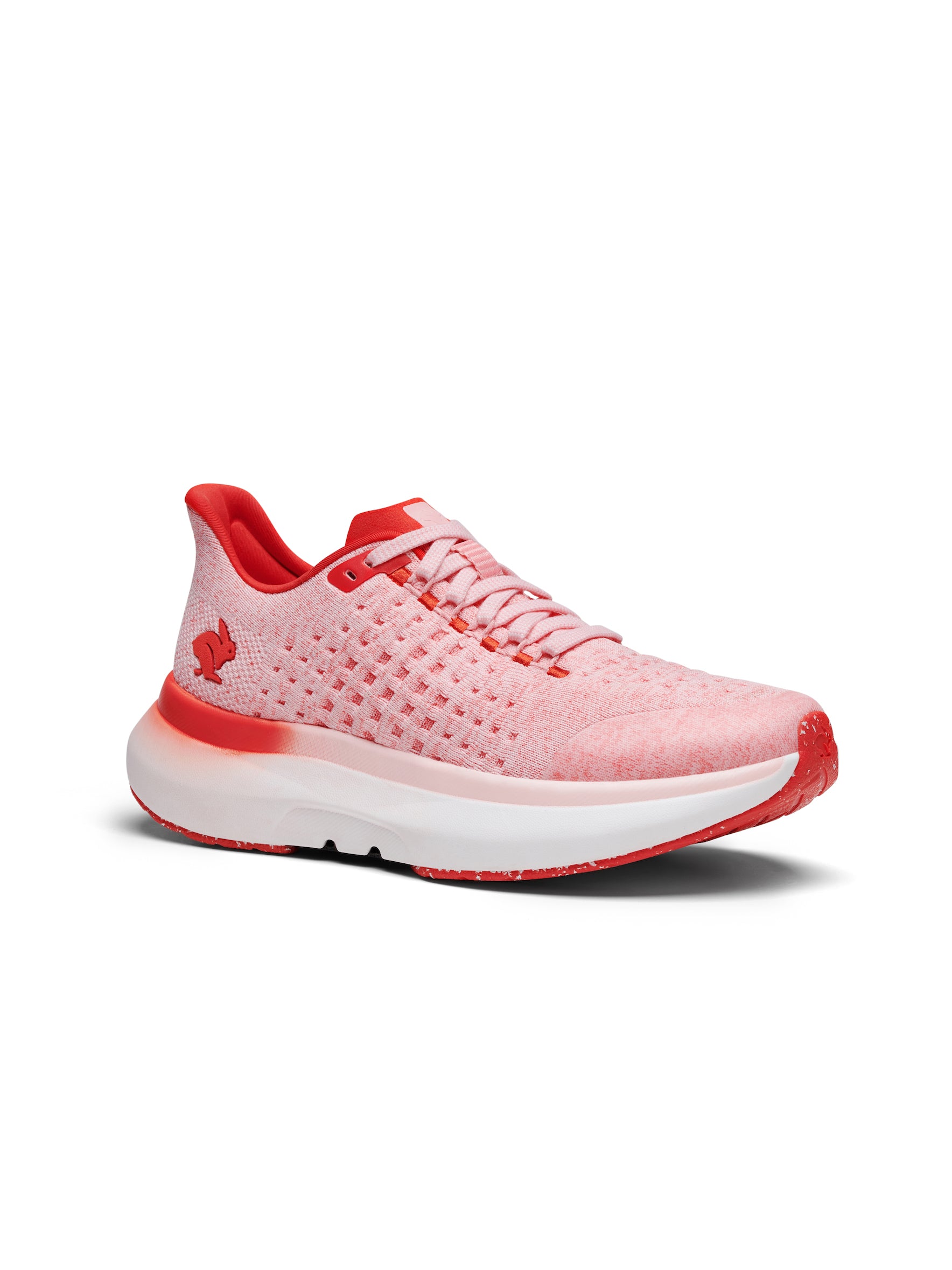 Dream Chaser Shoe - rabbit