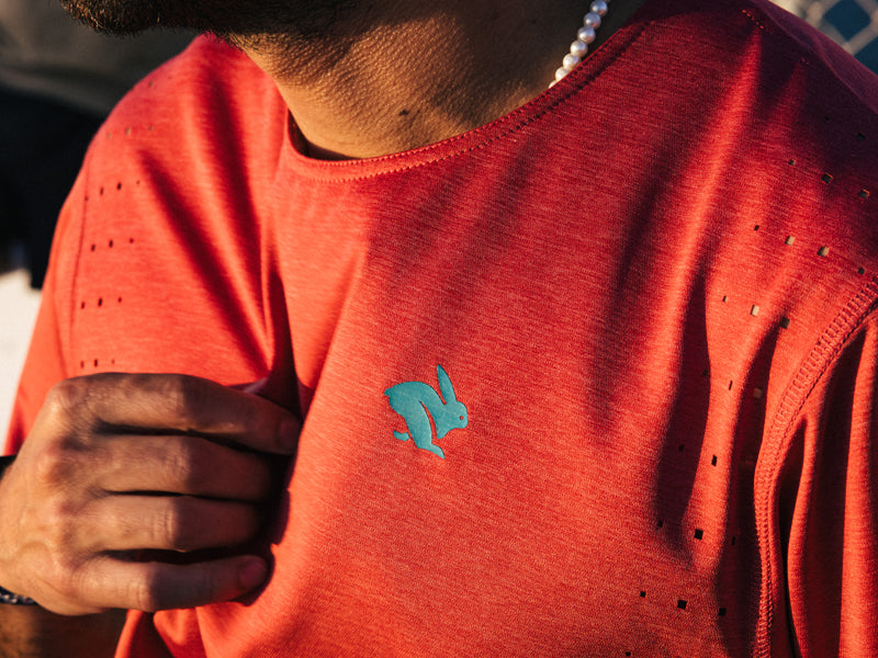 Dream Chaser Collection - rabbit
