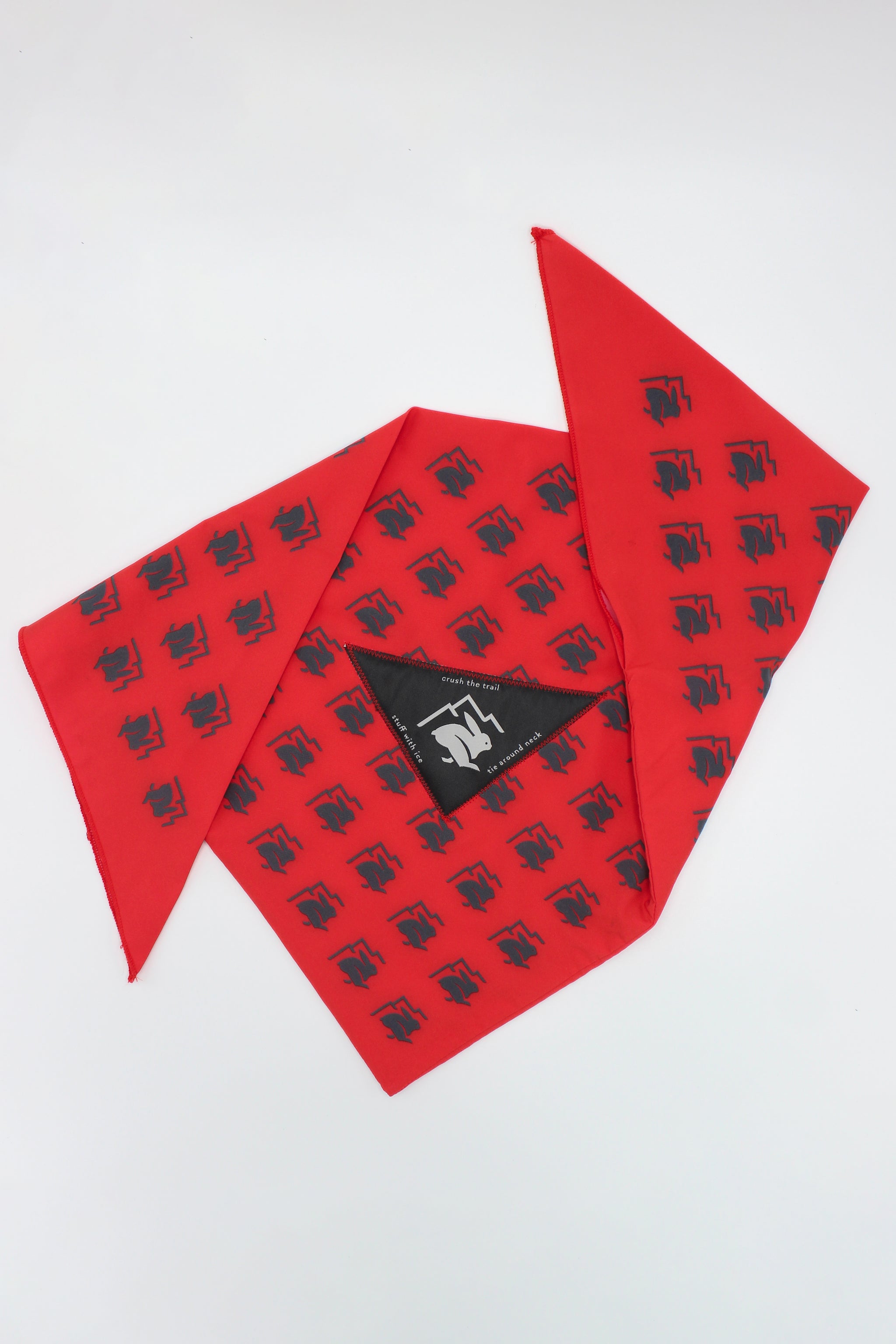 Ice RAD-dana - rabbit